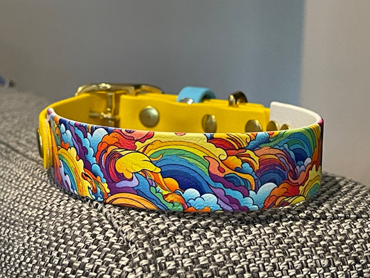 UV Printed BioThane Gear – Lead On