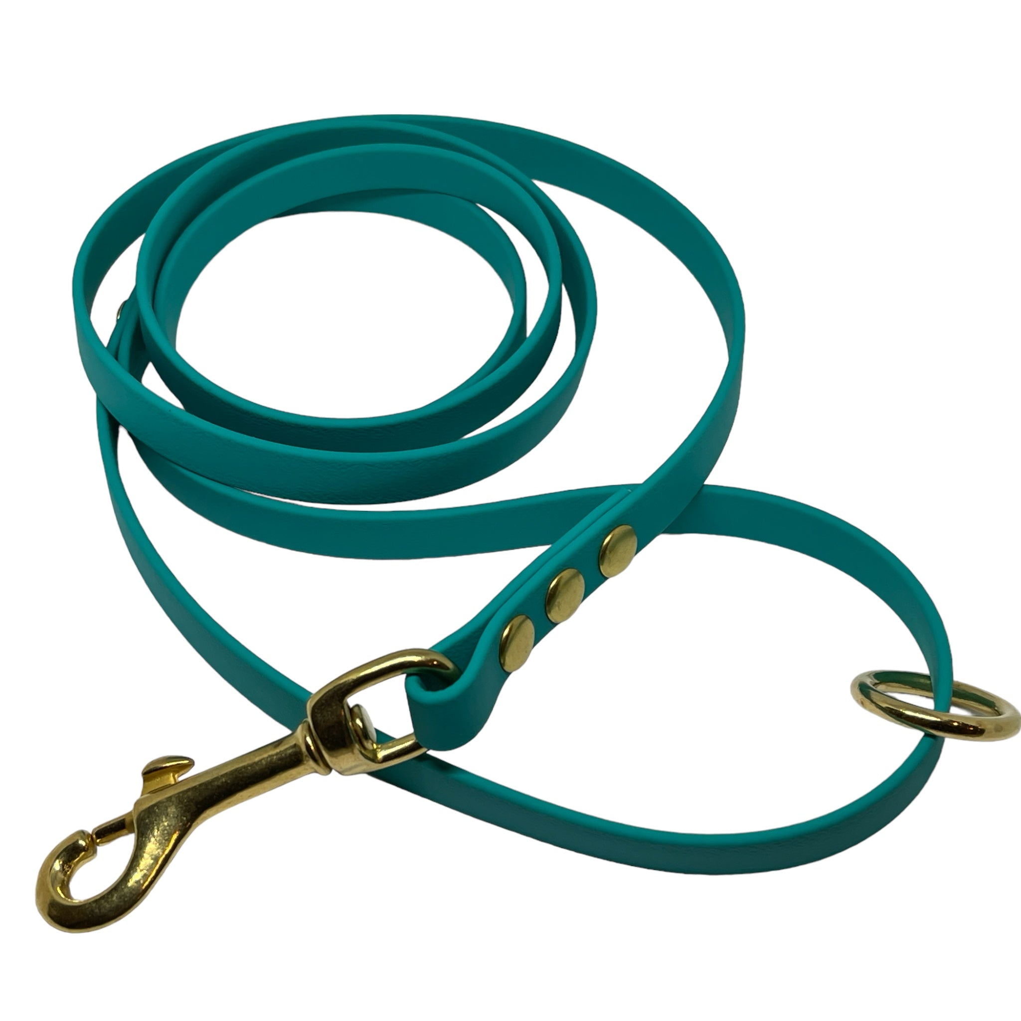 BioThane Clip Leads – Lead On